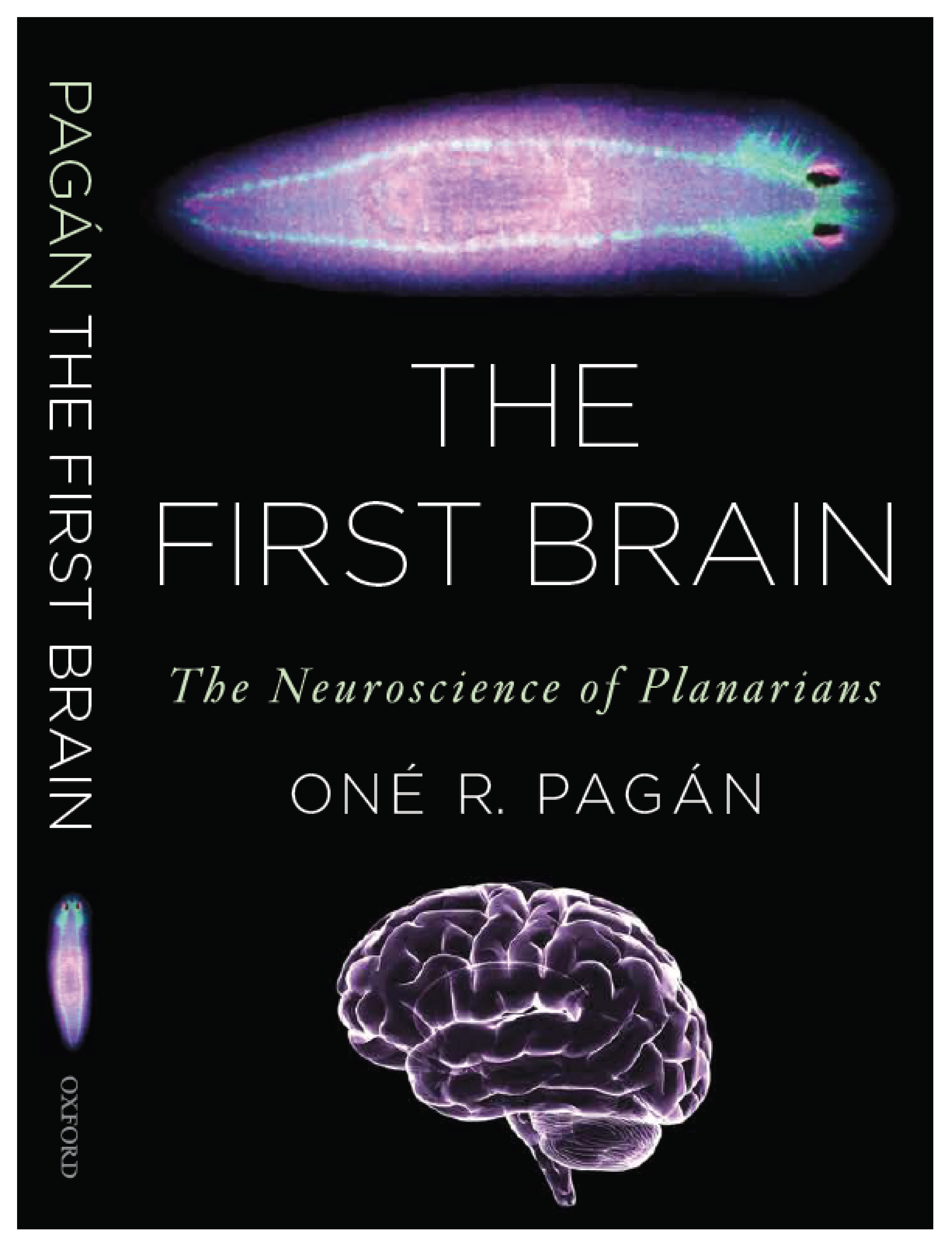 The First Brain - Baldscientist